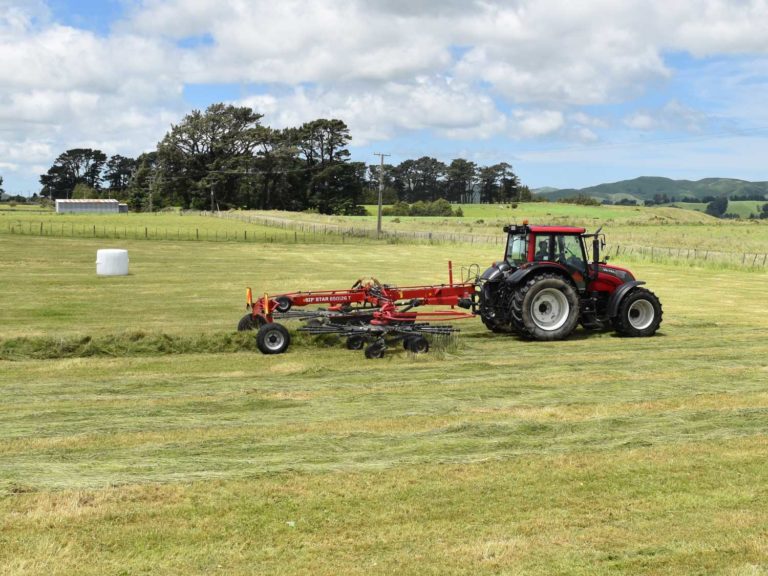 Sip Star Twin Rotor Rakes for Sale in NZ | Webbline